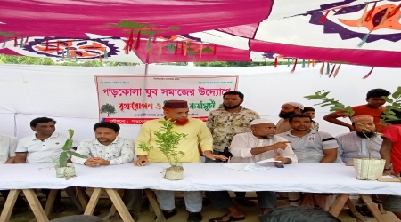 PARKOLA ISLAMIA MOHILA DAKHIL MADRASAH